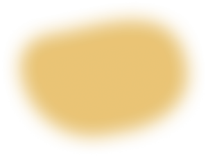 Contact Us - shuckit.com.au